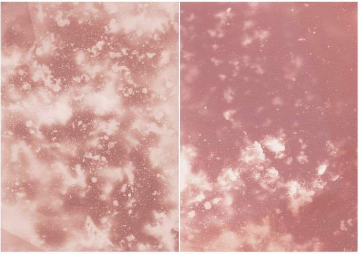 Julie Calbert :: Château de Thozée